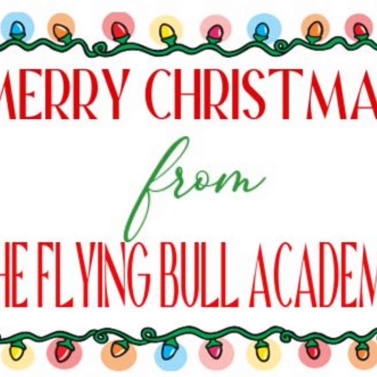 The Flying Bull Academy - Merry Christmas from Flying Bull Academy